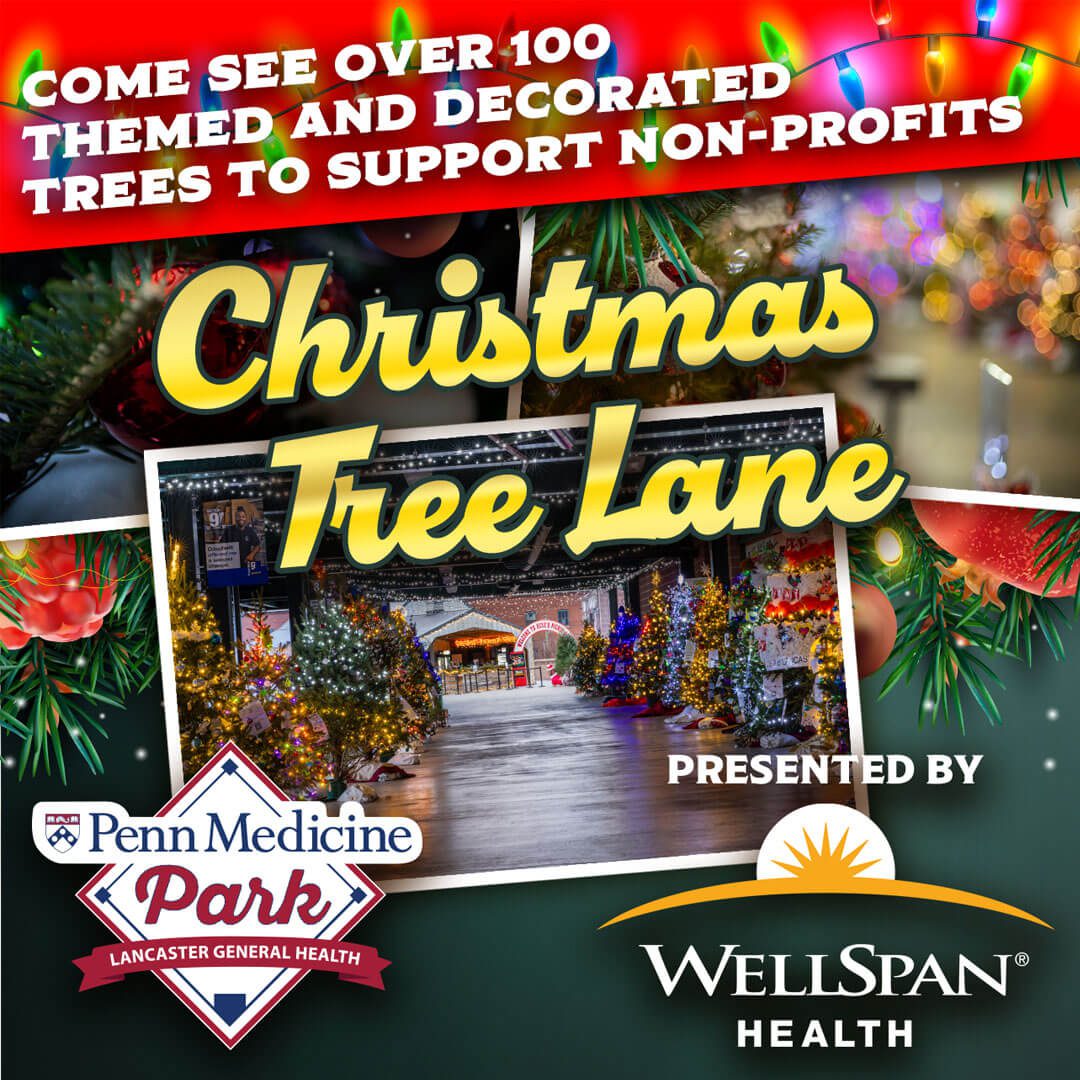 Christmas Tree Lane - Lancaster Stormers